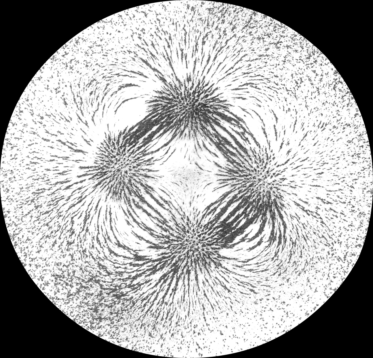 Mysterious magnetic fields - The Cockcroft Institute